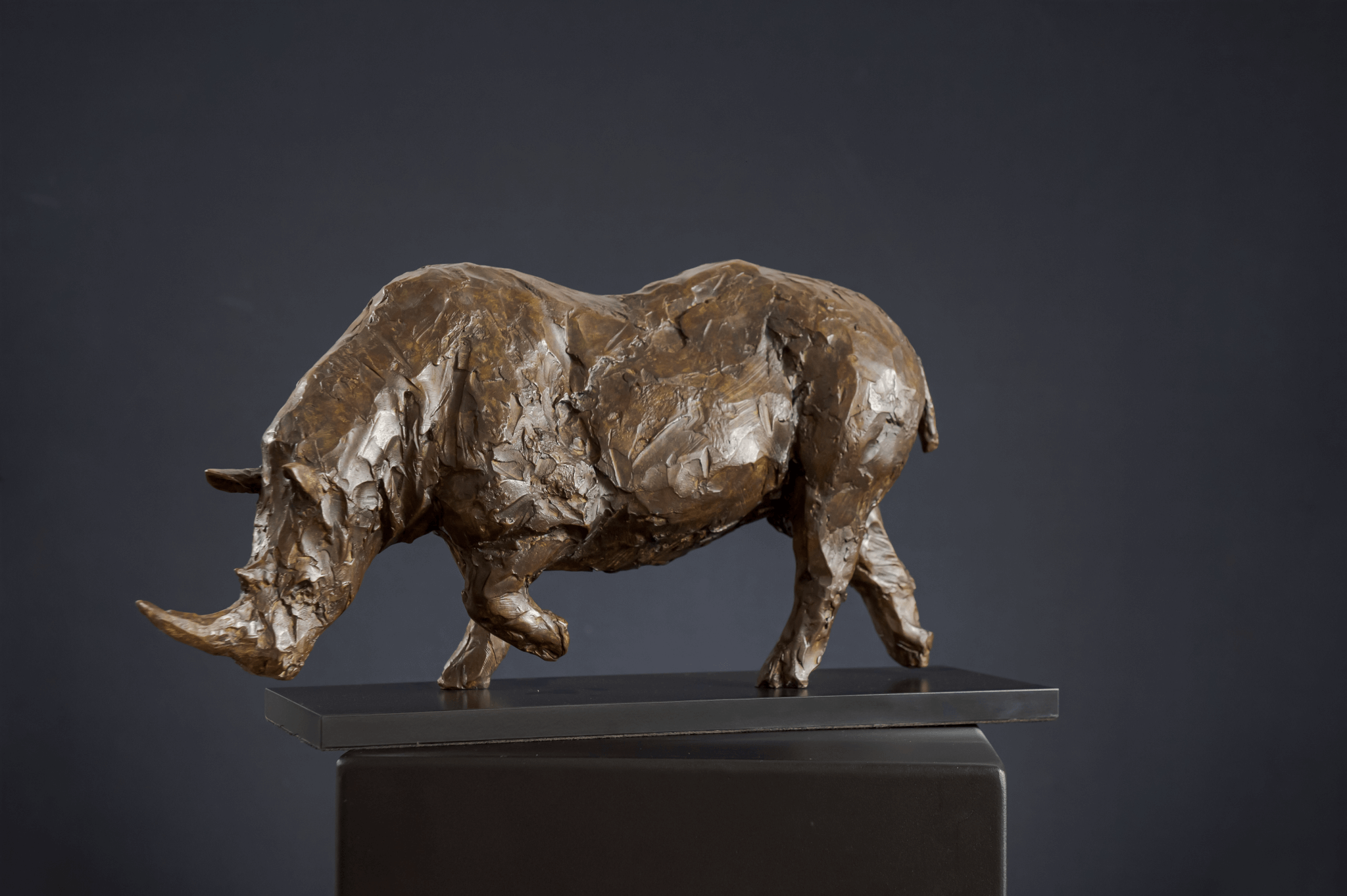 Bronze Sculptures for Sale South Africa – Wildlife, Garden & Fine Art ...