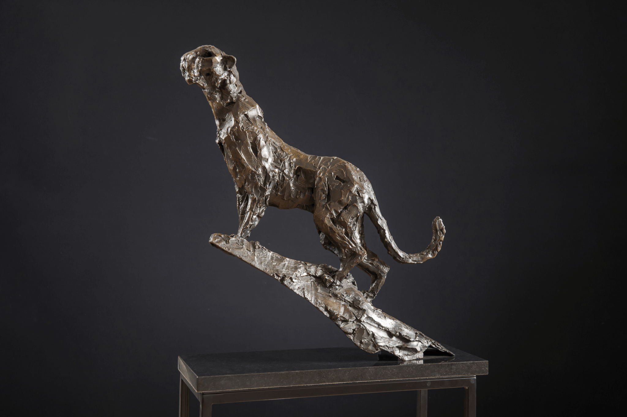 Leopard on Slope – VINCENT DA SILVA SHOP