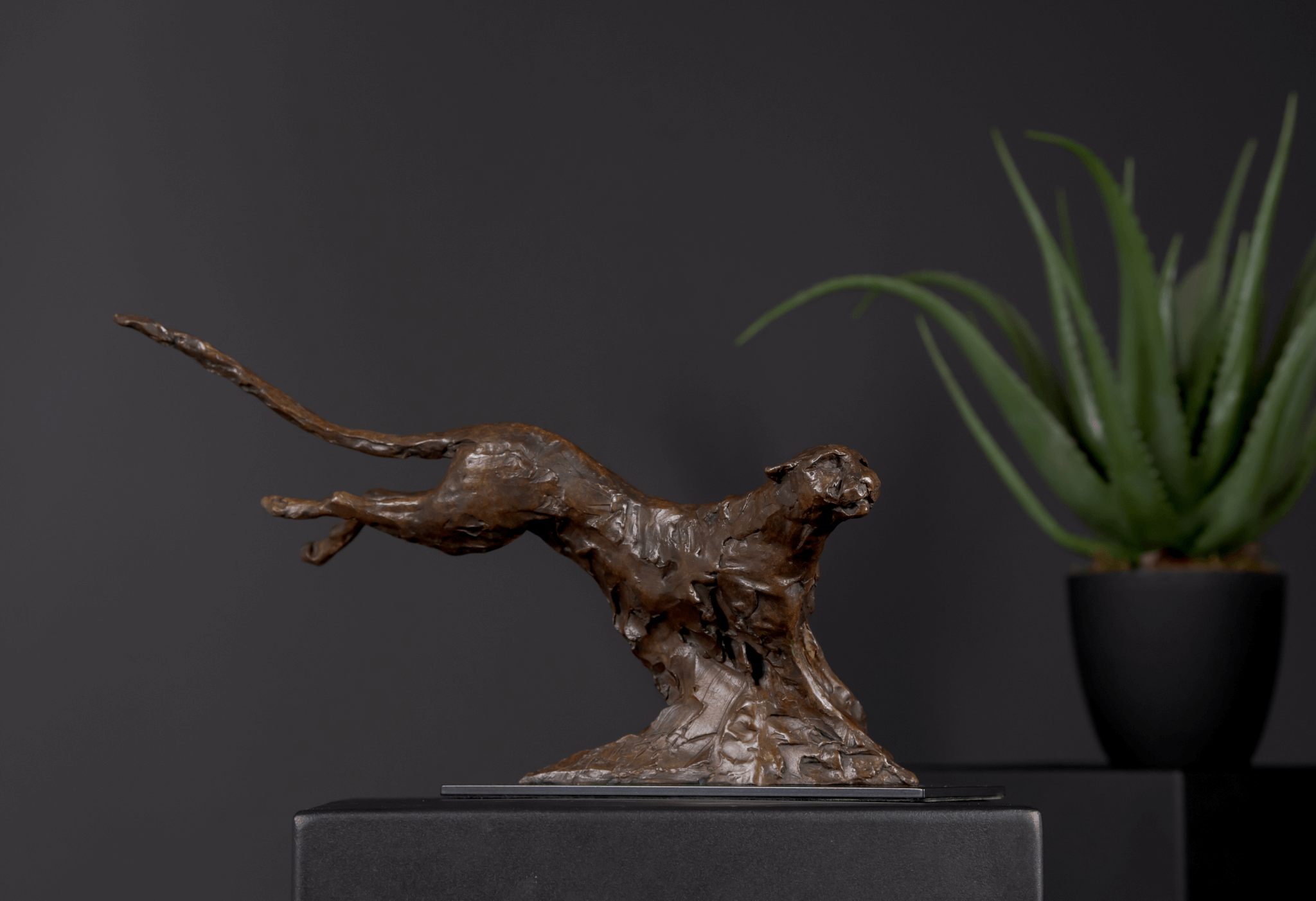 Running Cheetah IIII – VINCENT DA SILVA SHOP